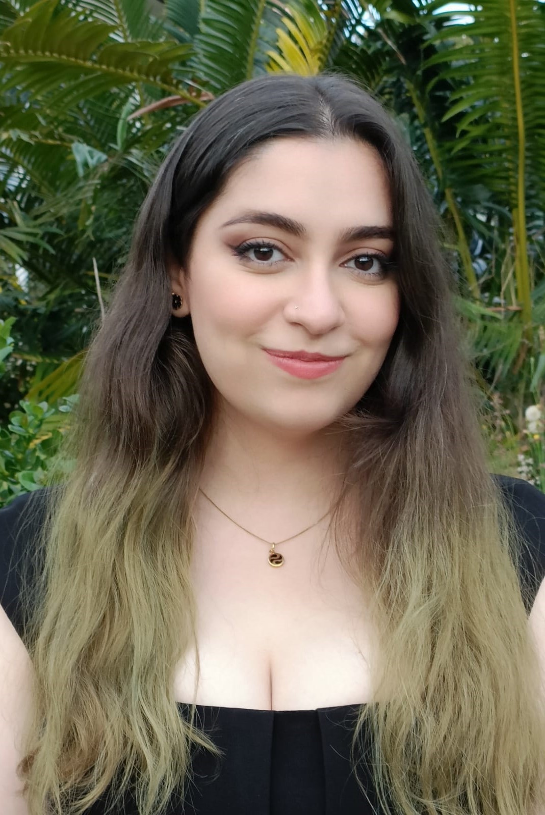 About – Arina Dara